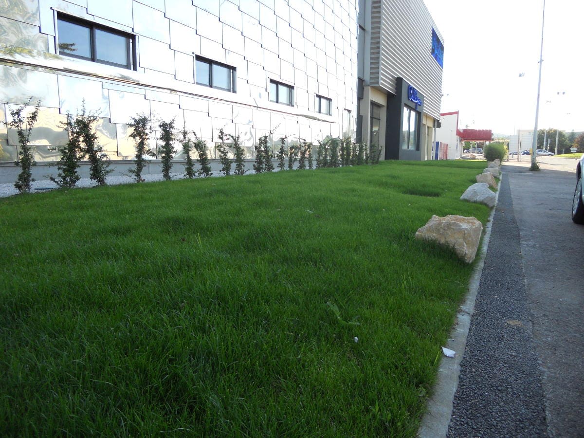 Plantation et gazons - C'Déco Paysagiste